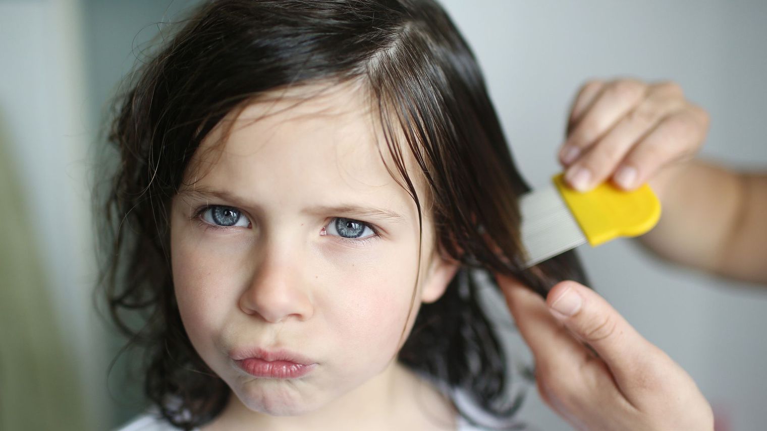 Lutter contre les poux : quelles sont les solutions efficaces